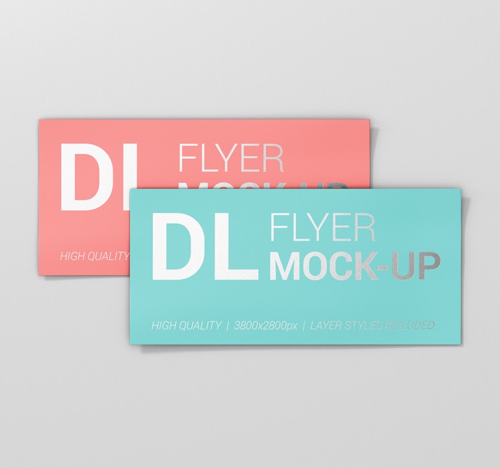 DL Flyer Mock-Up - Premium and Free Mockups for your awesome Projects ...